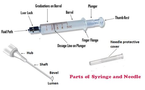 Syringe And Needles Understanding