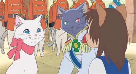 Haru en el Reino de los gatos Crítica y Opinión Pasión de cine