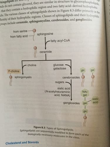 Bioc Ch Flashcards Quizlet