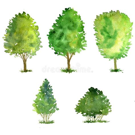 Insieme Degli Alberi Che Disegnano Dall Acquerello Illustrazione