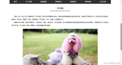 55 web前端网页制作 宠物主题网页设计实例 大学生期末大作业 html css web前段网页设计宠物 csdn博客