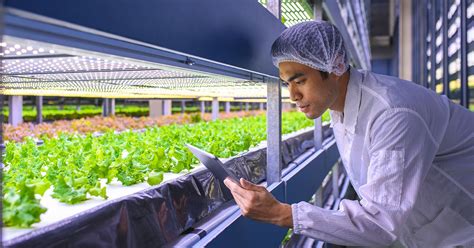 The Controlled Environment Agriculture Opportunity Is Ripe For
