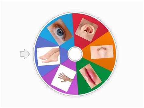 Mengenal Bagian Anggota Tubuh Random Wheel