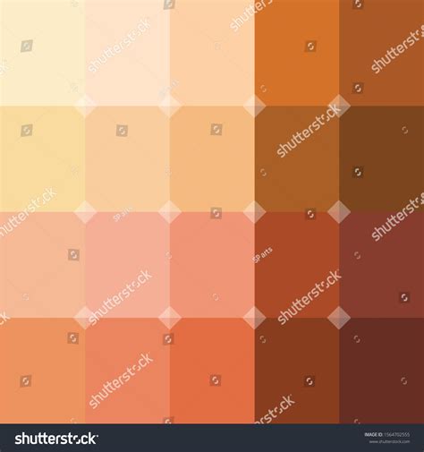 Skin Tone Colour Palette Vector 스톡 벡터 로열티 프리 1564702555 Shutterstock