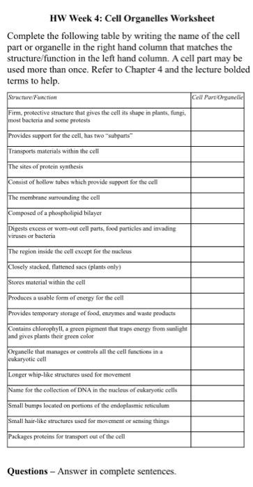 Quiz Cells Organelles Worksheet Live Worksheets Worksheets Library