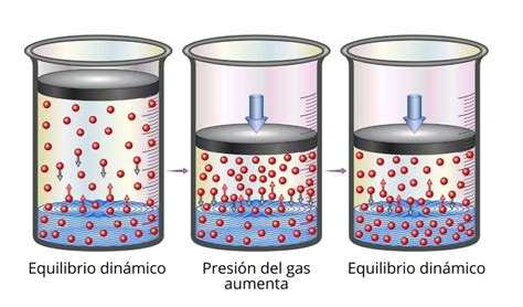 Contenido Panda Helecho Tabla De Solubilidad De Gases En Agua Audici N