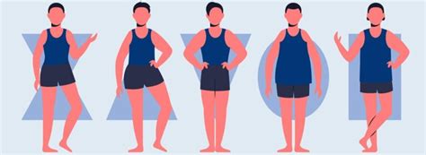 Como O Formato Do Corpo Explica A Mente O Corpo Explica