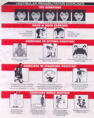 Vertigo Head Movement Exercises