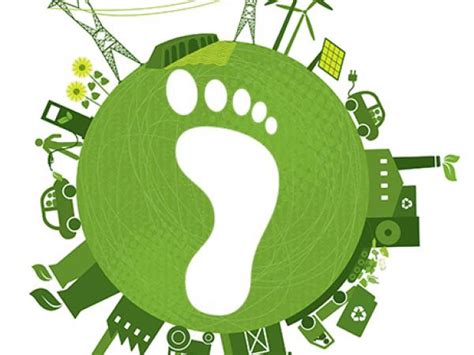 10 TIPS BÁSICOS PARA REDUCIR TU HUELLA ECOLÓGICA