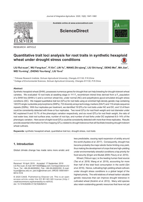 pdf quantitative trait loci analysis for root traits in synthetic hexaploid wheat under