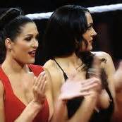 Fbf Wwe Divas Nude Shesfreaky