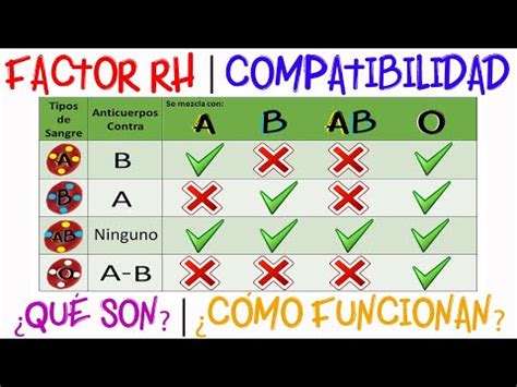 Descubre cómo saber qué tipo de sangre eres una guía completa paso a