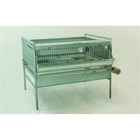 Cage Pour 100 Poussins