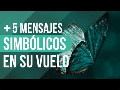 SIGNIFICADO De Que Una MARIPOSA VUELE A Tu ALREDEDOR YouTube