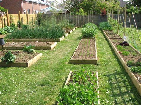 17 Beginner Vegetable Garden Layout Ideas You Should Look SharonSable