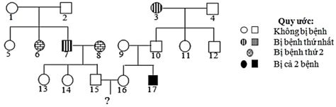 Cho biết Phả hệ sau mô tả hai bệnh di truyền phân li độc lập với nhau