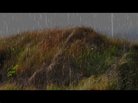 Barulho De Chuva No Capim Para Dormir Profundamente Som De Forte