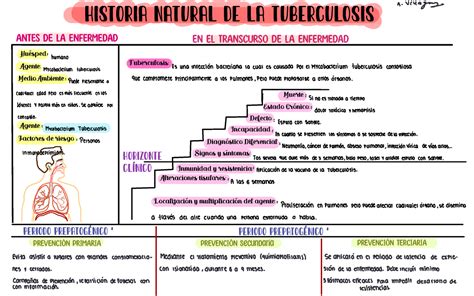 Epidemiolog A Cuadro Gavr Historia Natural De La Tuberculosis Antes