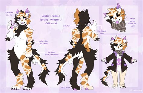 Calico Cat Custom Reference Sheet By Prince O Sky On Deviantart