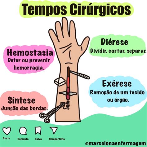 Quais São Os Tempos Cirúrgicos REVOEDUCA