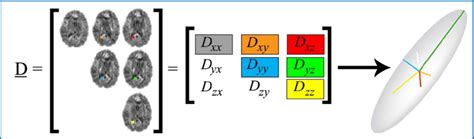 from gradients to tensors how the different gradients are combined to download scientific