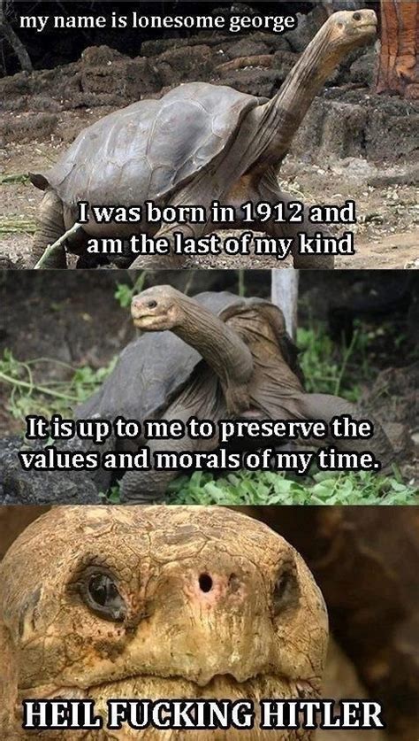 Lonesome George The Last Of His Kind Meme Guy