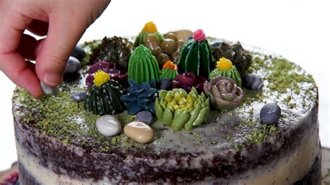 Buttercream Succulents Cacti Creative Cake Design