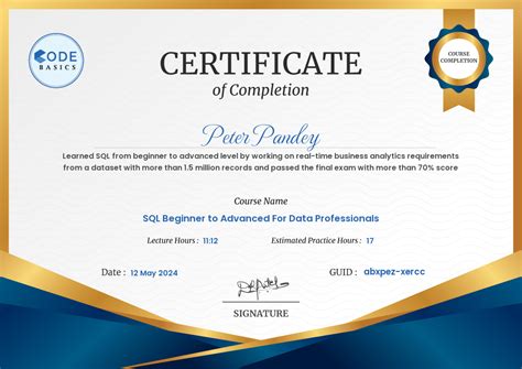 SQL Course For Beginners To Advanced Levels Codebasics