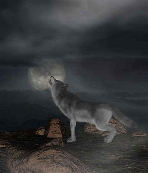 Papel De Parede Para Celular Chb Uivo Uivar Bw Foto Lobo Arte