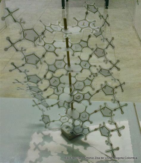 IDEAS PARA MI MUNDO MAQUETA DEL ADN IMITANDO EL MODELO DE WATSON Y