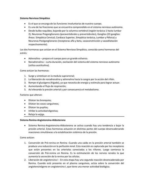 Sistema Nervioso Simp Tico Y Renina Angiotensina Aldosterona Michelly