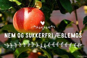 Nem hjemmelavet sukkerfri æblemos Paleolivet Æblemos Hjemmelavet