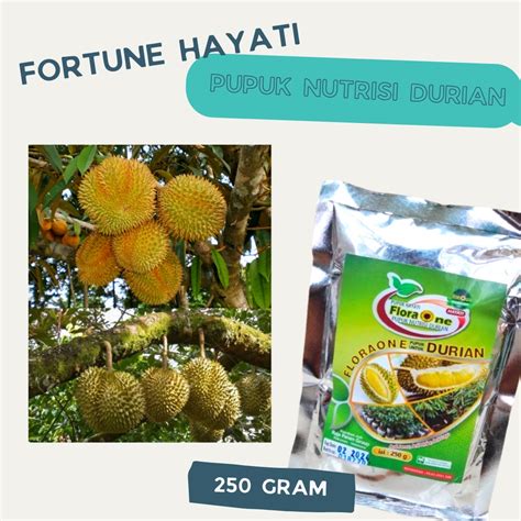 Jual Pupuk Durian Yang Bagus Pupuk Durian Agar Tidak Rontok