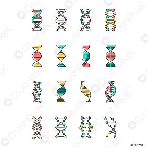 Dna Helix Color Icons Set Deoxyribonucleic Nucleic Acid Structure