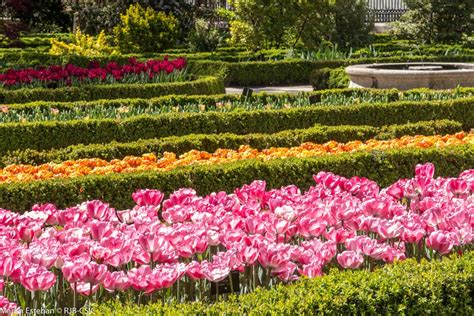 10 planes de primavera en Madrid para aprovechar la época más colorida