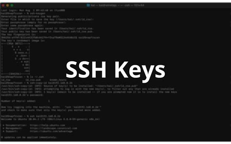 Implanting Ssh Keys A Step By Step Guide With Command Examples By Cuncis Medium