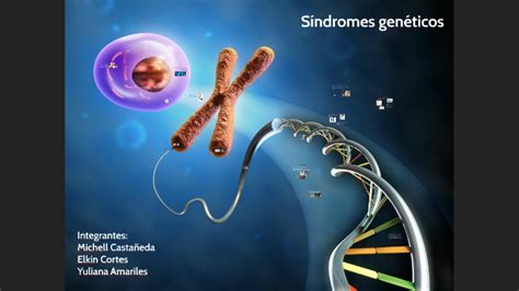 Síndromes genéticos by michell castañeda on Prezi