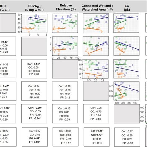 Correlation Matrices Showing Relationships Between Average DOC