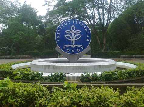 5 Universitas Jurusan Kedokteran Hewan Terbaik Di Indonesia Blog Mamikos