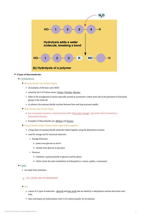 Solution Structure And Functions Of Large Biological Molecules Studypool