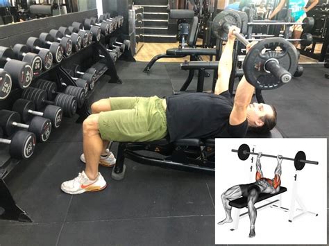 Dicas para execução do Supino barra e halteres Dicas de Musculação