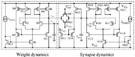 figure 2 from analog vlsi design of an adaptive neuromorphic chip for olfactory systems