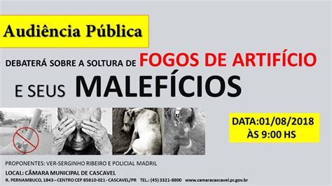 Audiência pública debate maus tratos aos animais e utilização de fogos