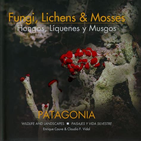 Fungi Lichens And Mosses Hongos Liquenes Y Musgos Nhbs Field