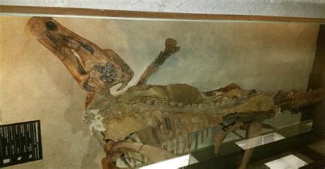 October Everything Dinosaur Blog