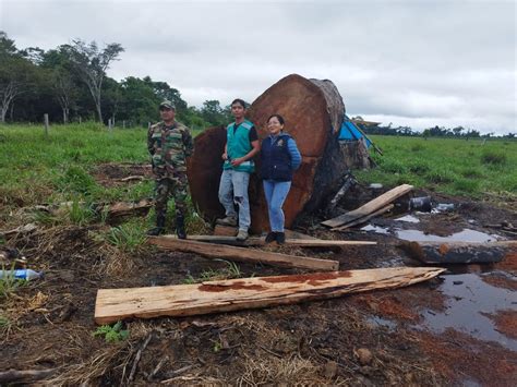 Policía Nacional del Perú on Twitter Tras ejecutar operaciones
