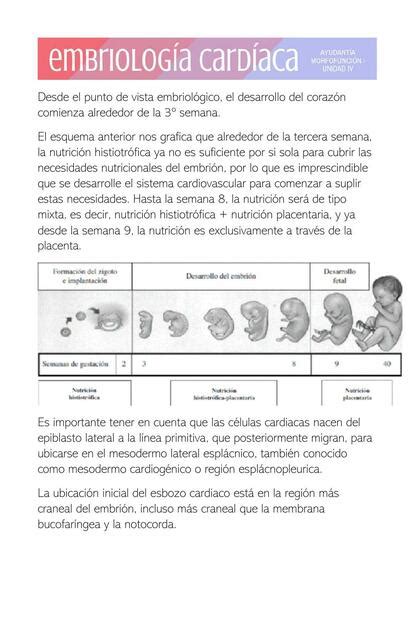 Embriología Cardíaca KAREN DANIELA ORDONEZ MORALES uDocz