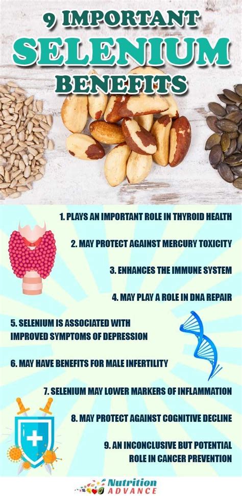 the 30 best dietary sources of selenium selenium benefits thyroid health health