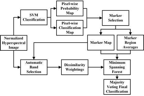 minimum spanning forest based method for hsi quantitative bioimaging laboratory