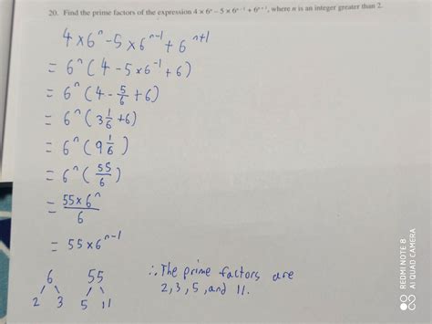 find the prime factors of the expression where n is an integer greater than 2 ask manytutors